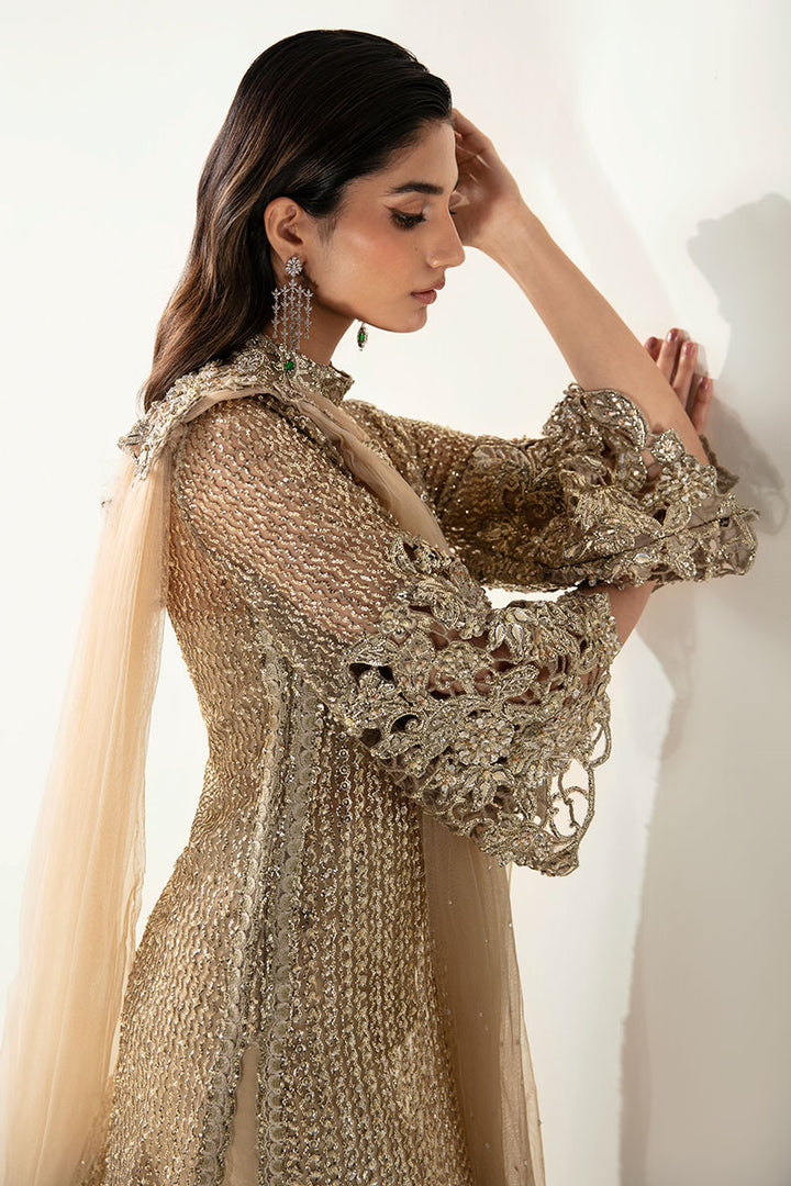 Luxury Formal Collection 2025 - Formal Dresses in Pakistan – Mushq Pakistan