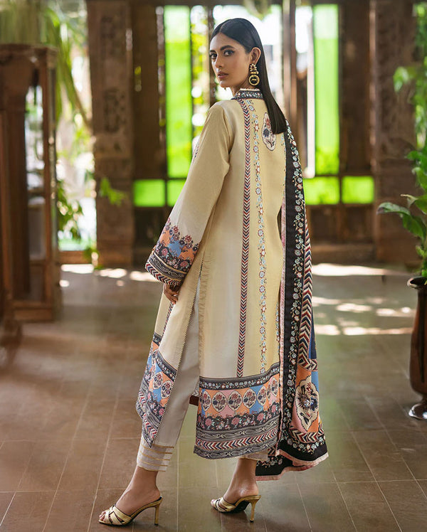 Silk Collection 2025 | Raw Silk Dress Designs – Mushq Pakistan